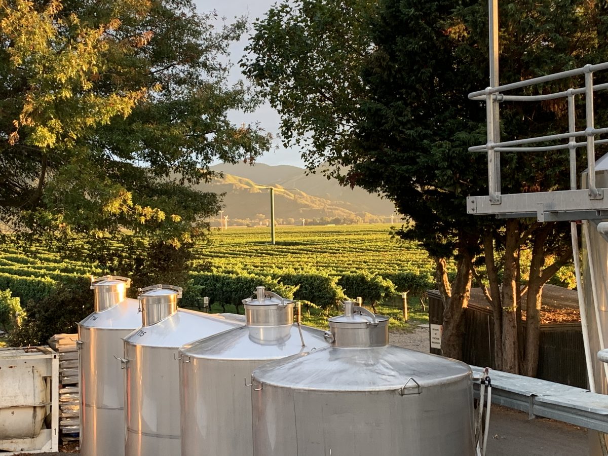 Hunter’s Wines – Direct Wine Shipments