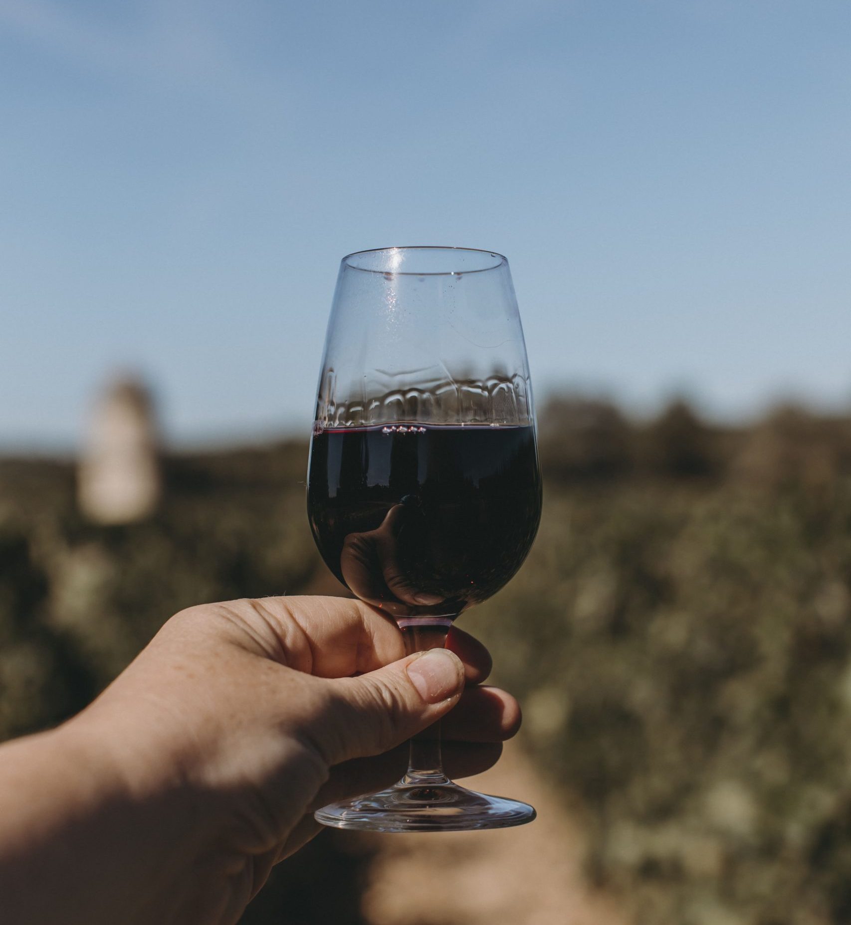 Bordeaux – Left Bank vs Right Bank – Direct Wine Shipments